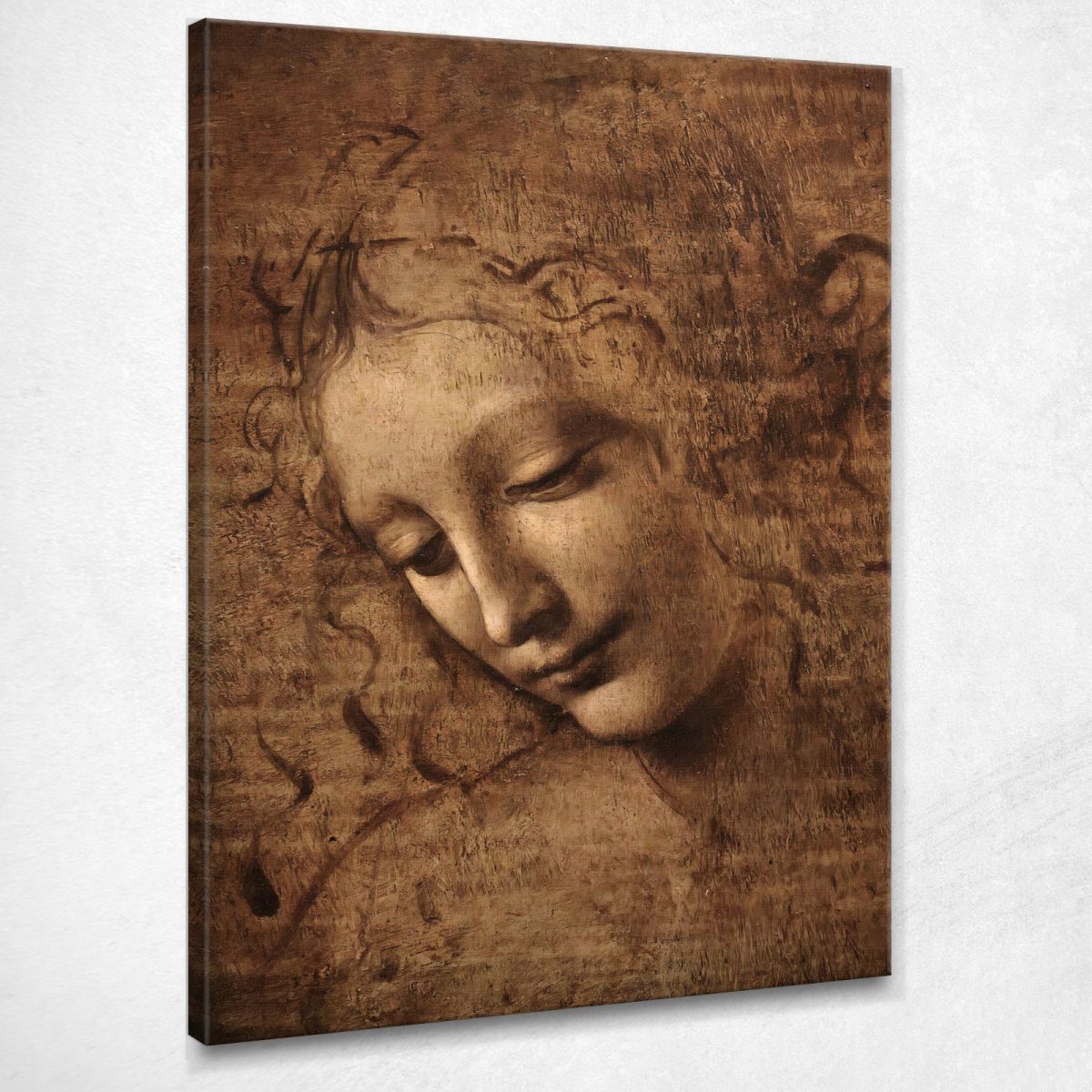 The Scapigliata Leonardo Da Vinci canvas print