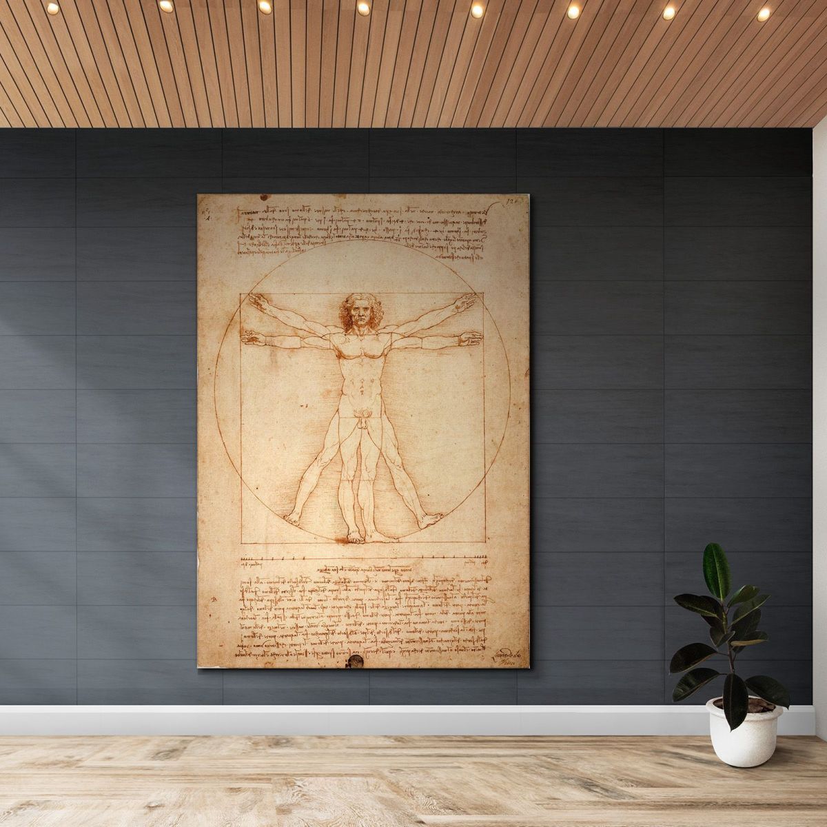 Vitruvianischer Mensch Leonardo Da Vinci drucken auf leinwand