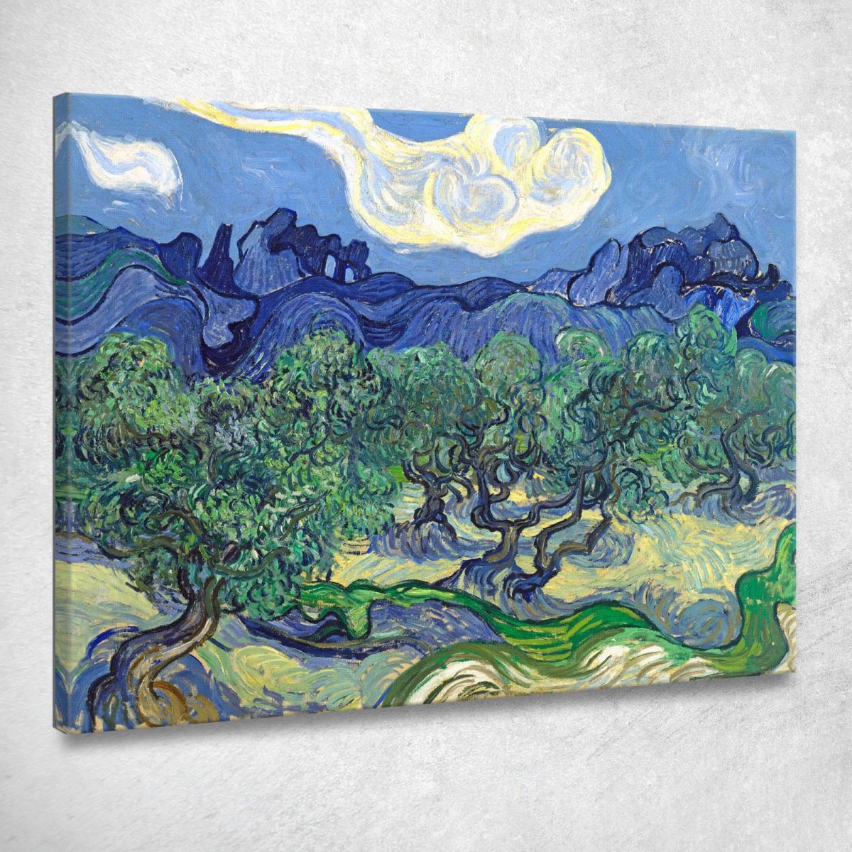 The Olive Trees Vincent van Gogh canvas print