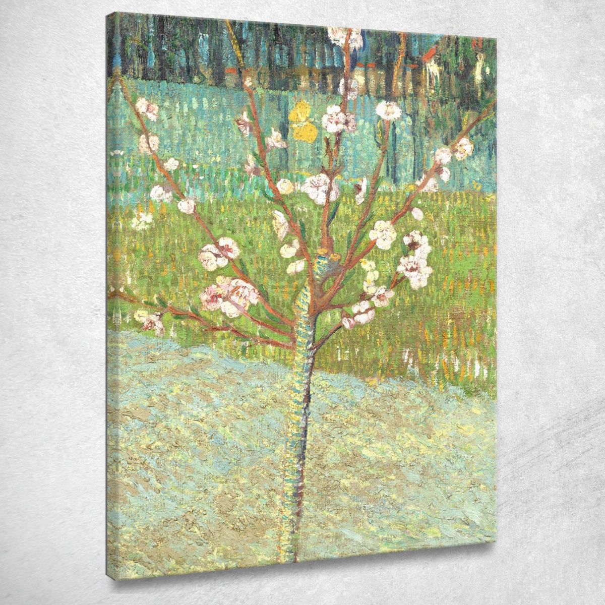 Van Gogh Pesco